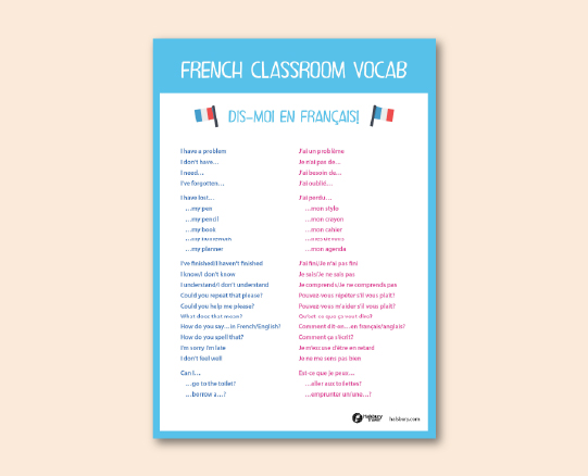 School Trips | French Classroom Vocabulary Poster